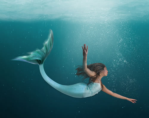 Recreation and Social